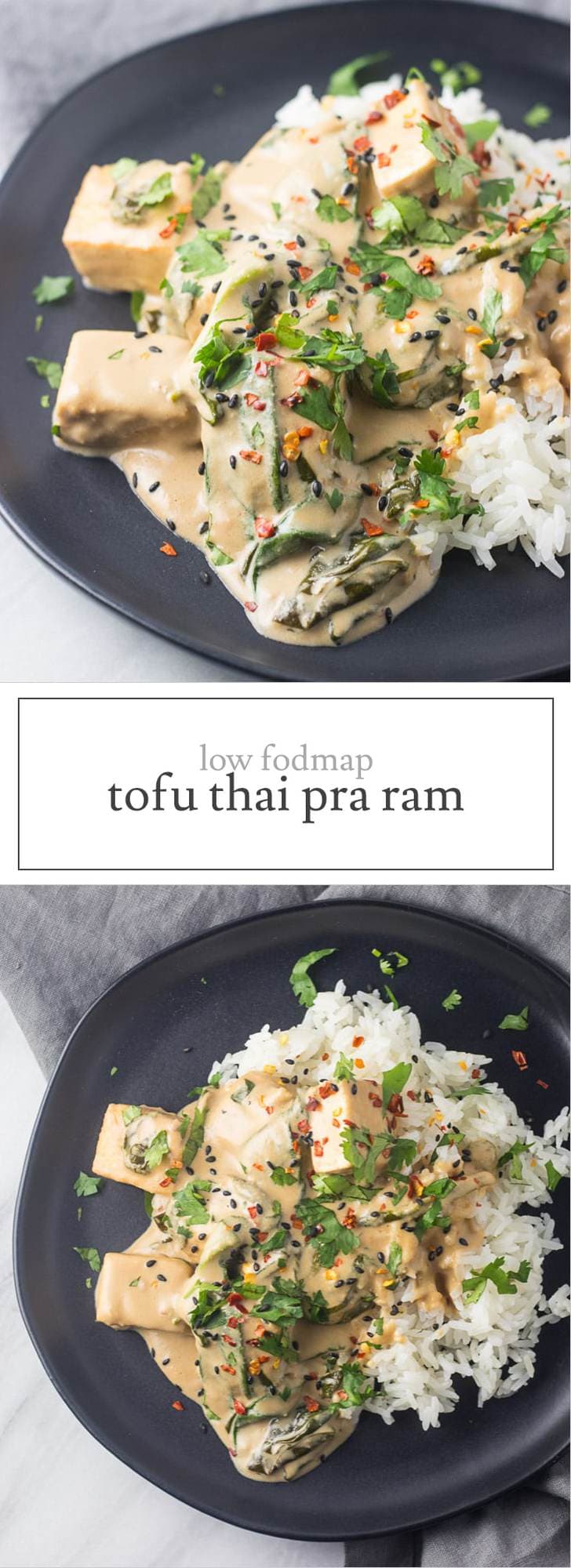 Low FODMAP Thai Pra Ram Tofu - Fun Without FODMAPs