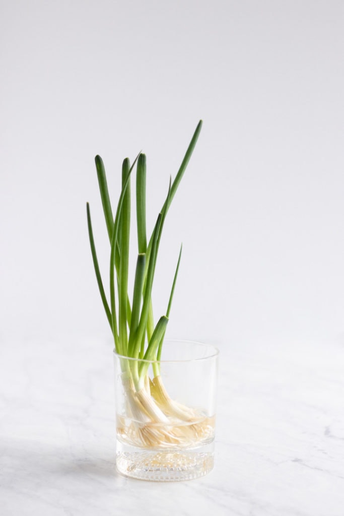 Low FODMAP Garlic And Onion Substitutes Fun Without FODMAPs