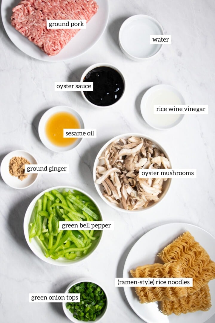 Low FODMAP Ground Pork Noodle Bowls - Fun Without FODMAPs
