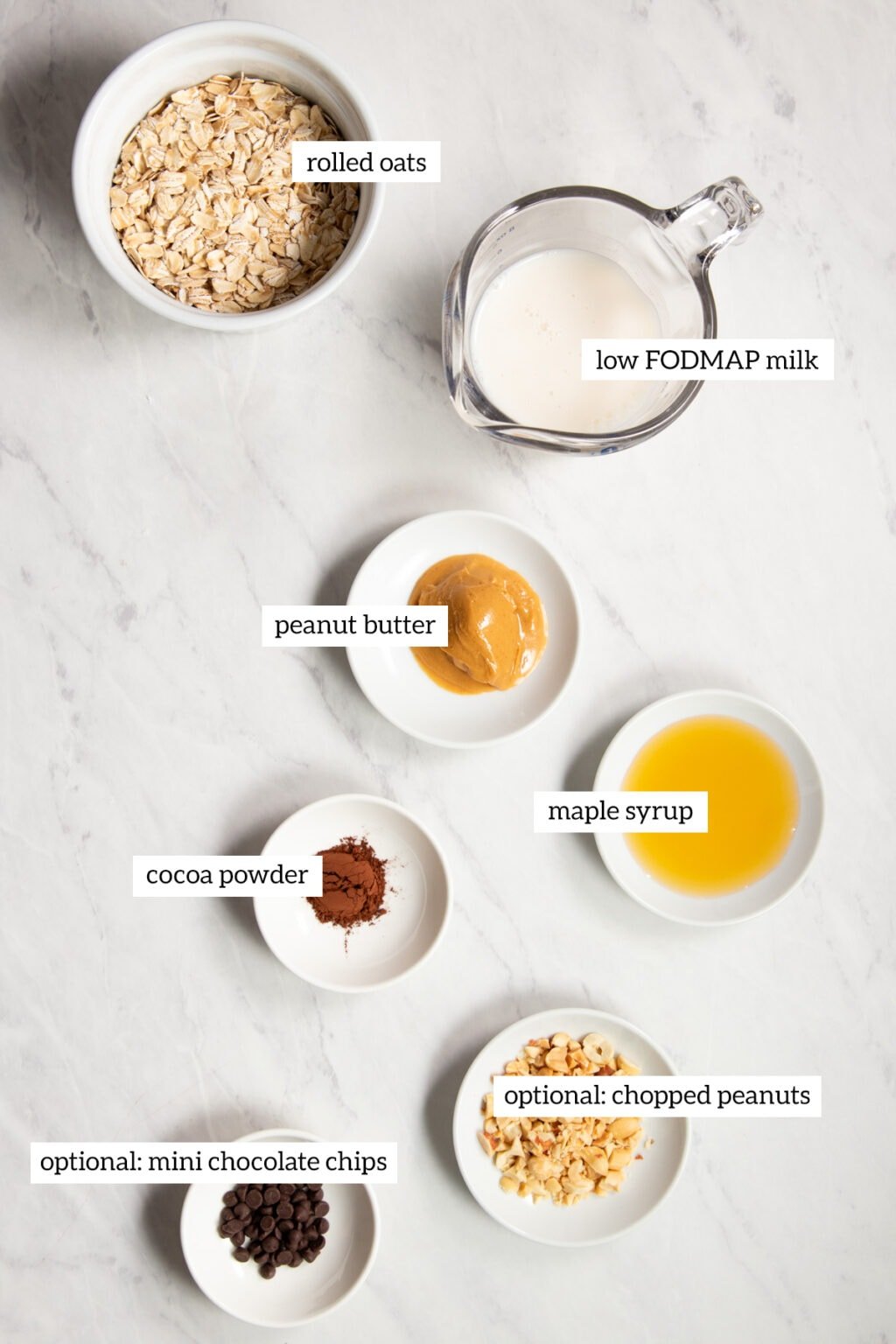 Low FODMAP Chocolate Peanut Butter Oatmeal - Fun Without FODMAPs